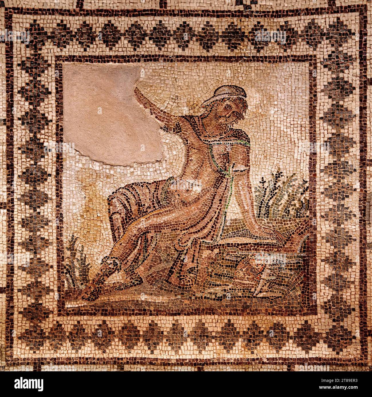 Ancient mosaic depicting Narcissus sitting on a stone. House of ...