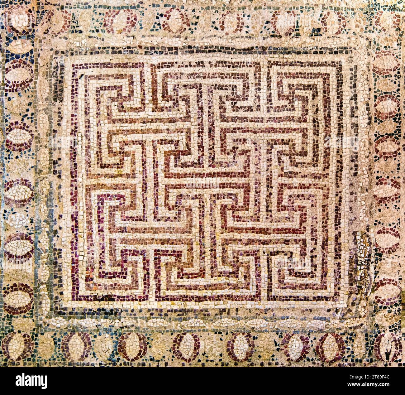 Fancy antique mosaic on the floor of the house of Dionysus. Paphos ...