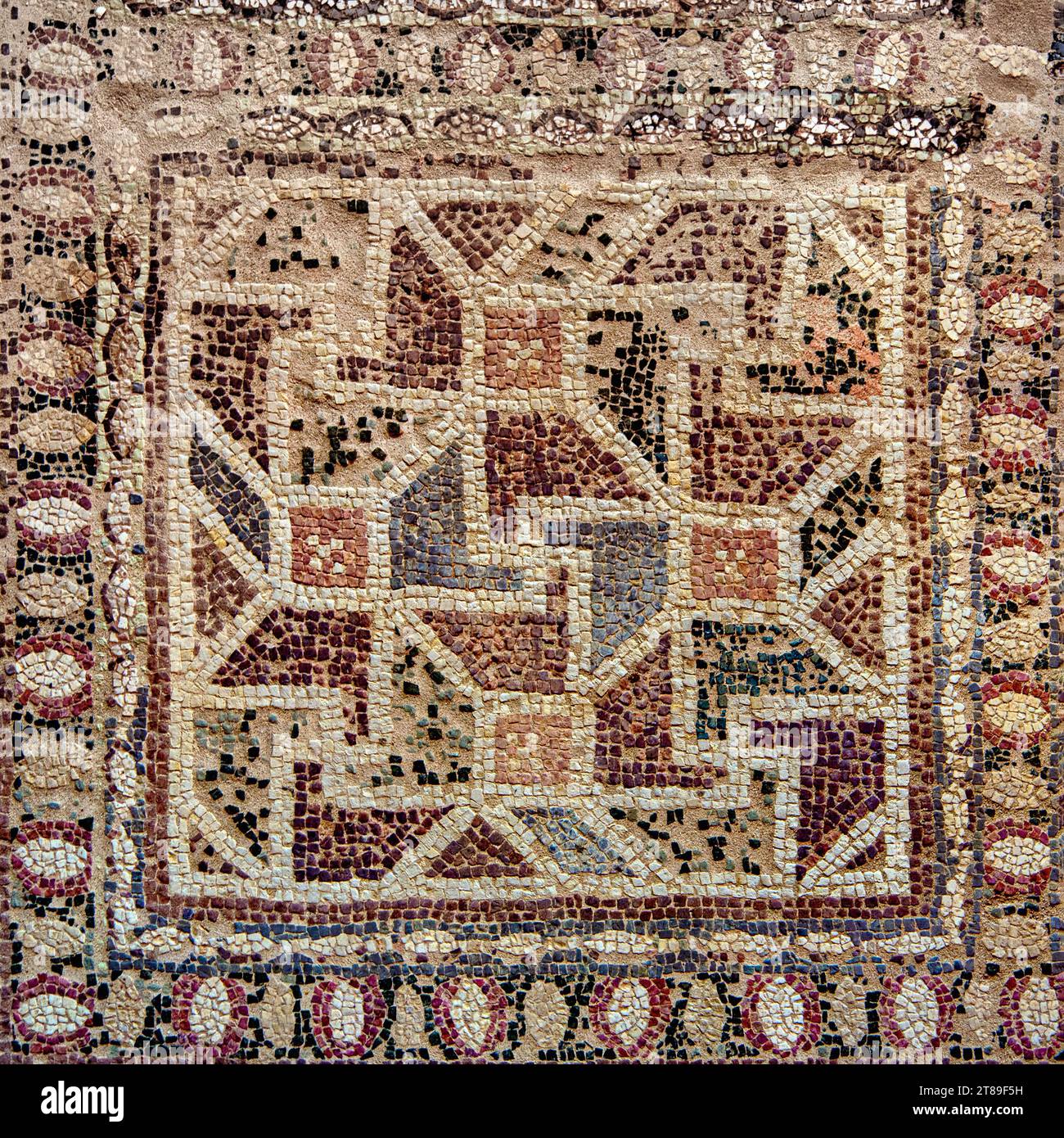 Fancy antique mosaic on the floor of the house of Dionysus. Paphos ...