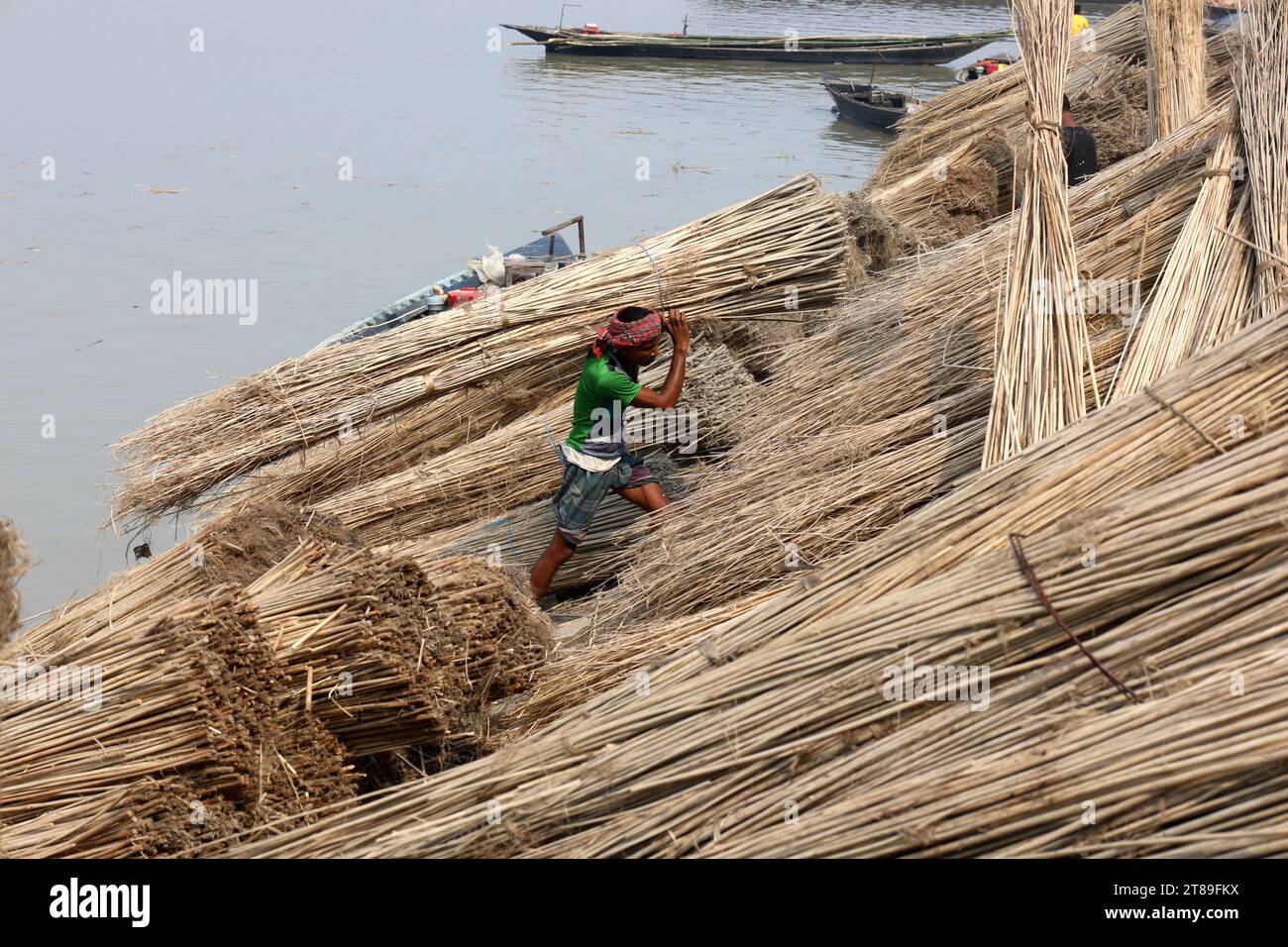 Jute ash hi-res stock photography and images - Alamy