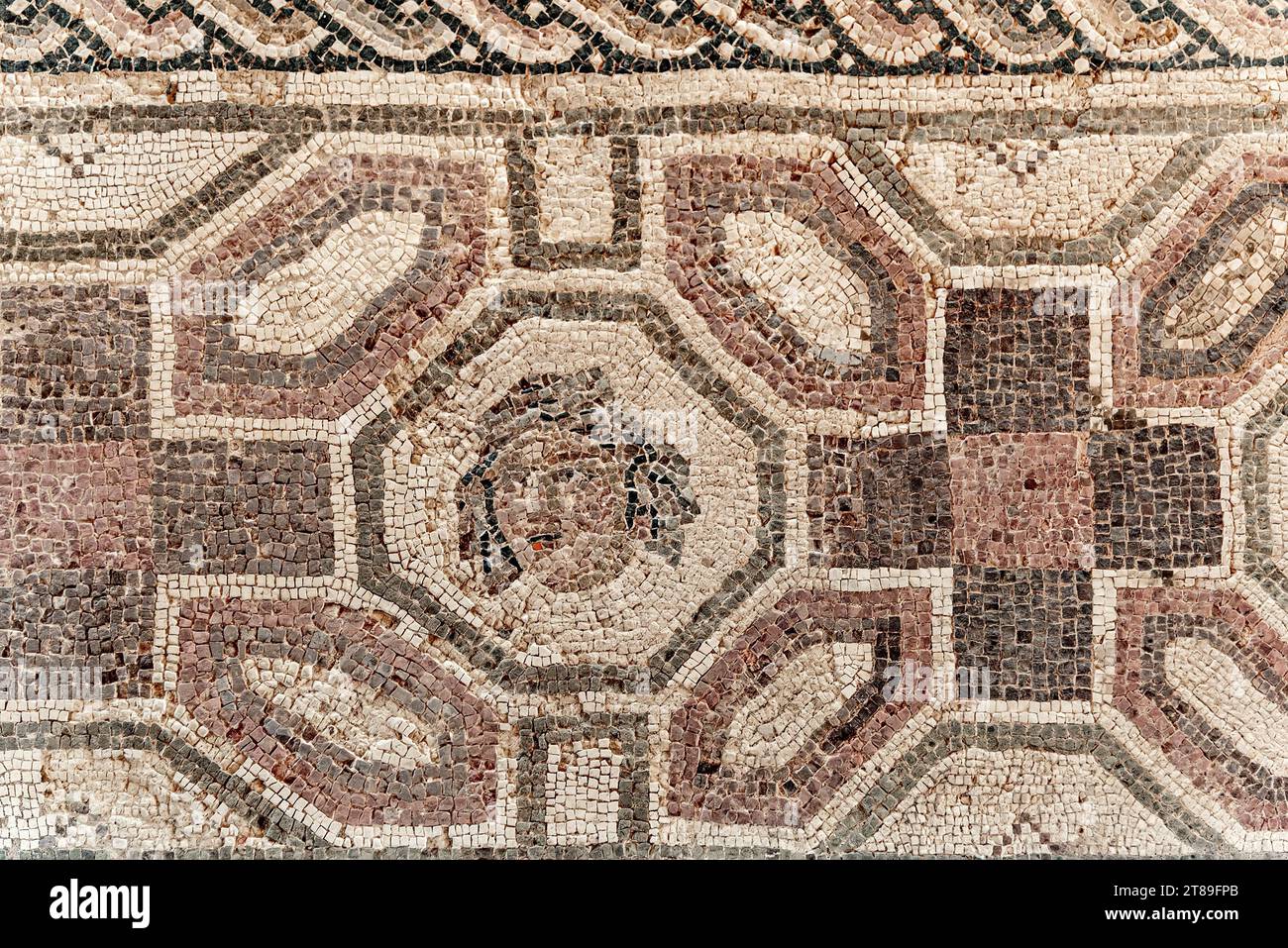 Antique mosaic on the floor of the house of Dionysus. Archaeological ...