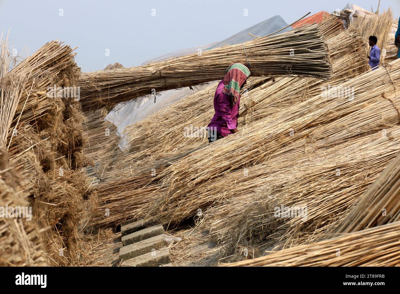 Jute ash hi-res stock photography and images - Alamy