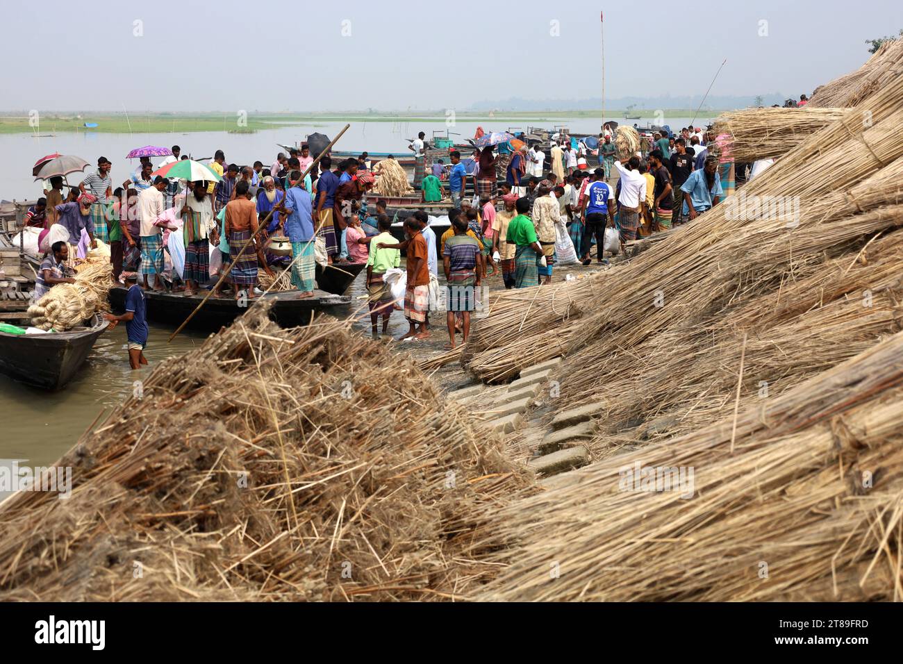 Jute ash hi-res stock photography and images - Alamy