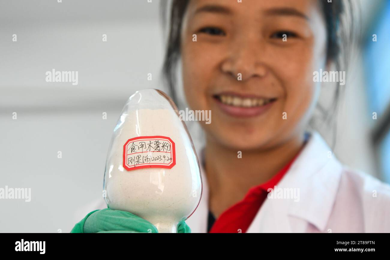 Cassava powder hi-res stock photography and images - Alamy