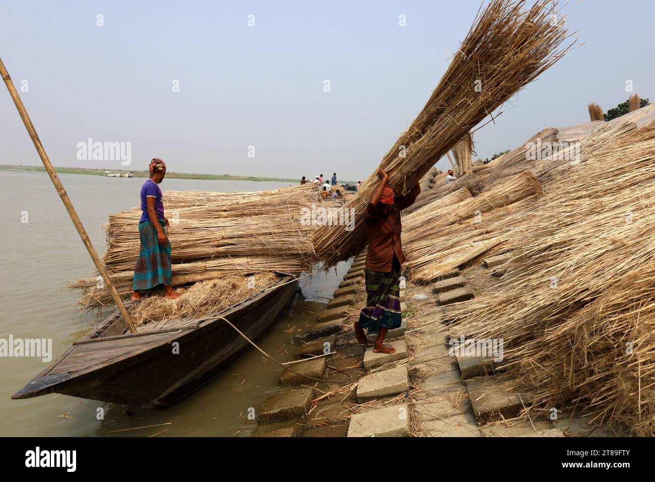 Jute ash hi-res stock photography and images - Alamy