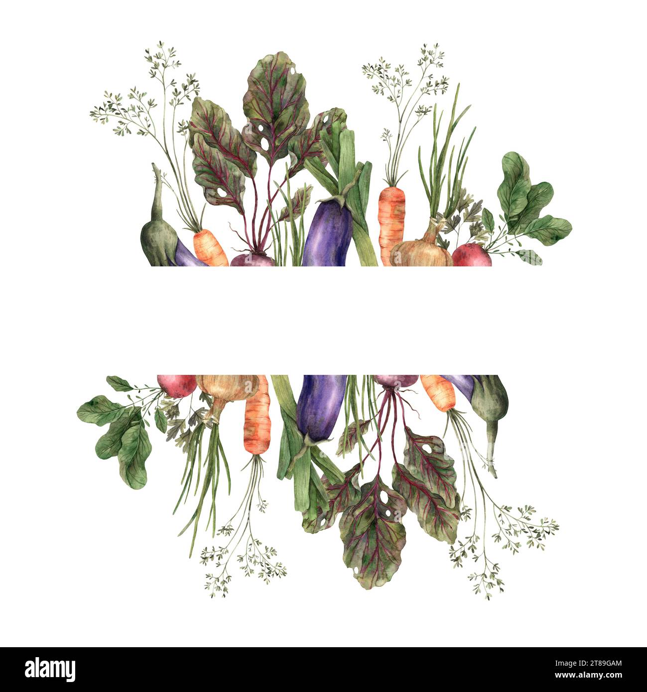 The watercolor frame is framed by vegetables: eggplant, carrots, onions ...