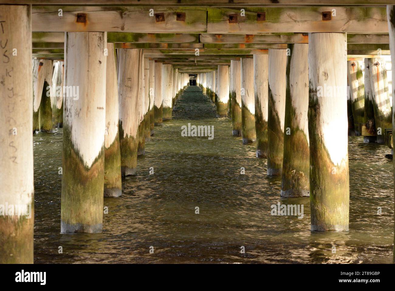 Wooden pillars beneath wharf diminishing perspective underside the ...
