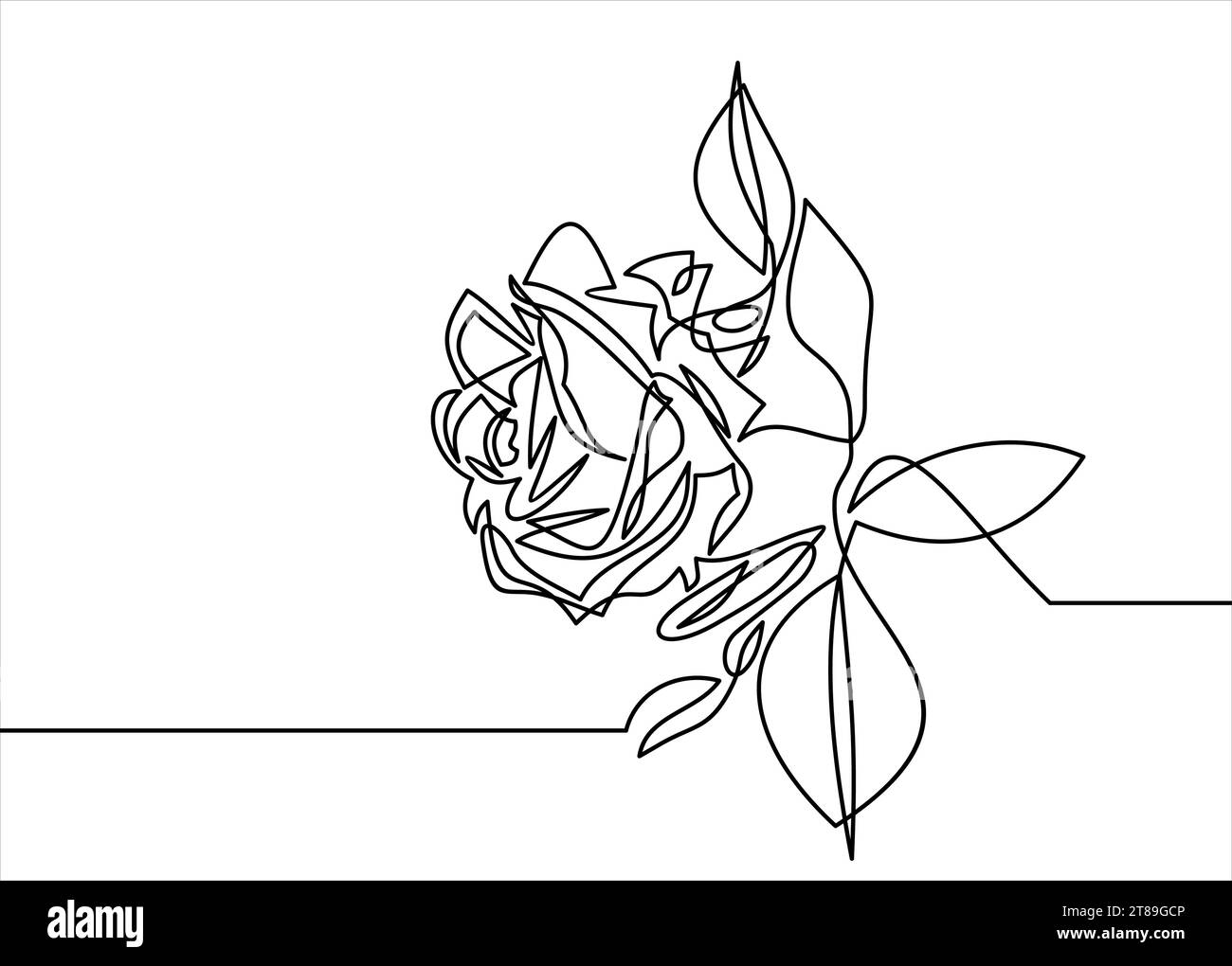 vector of rose flowers- continuous line drawing Stock Vector Image ...