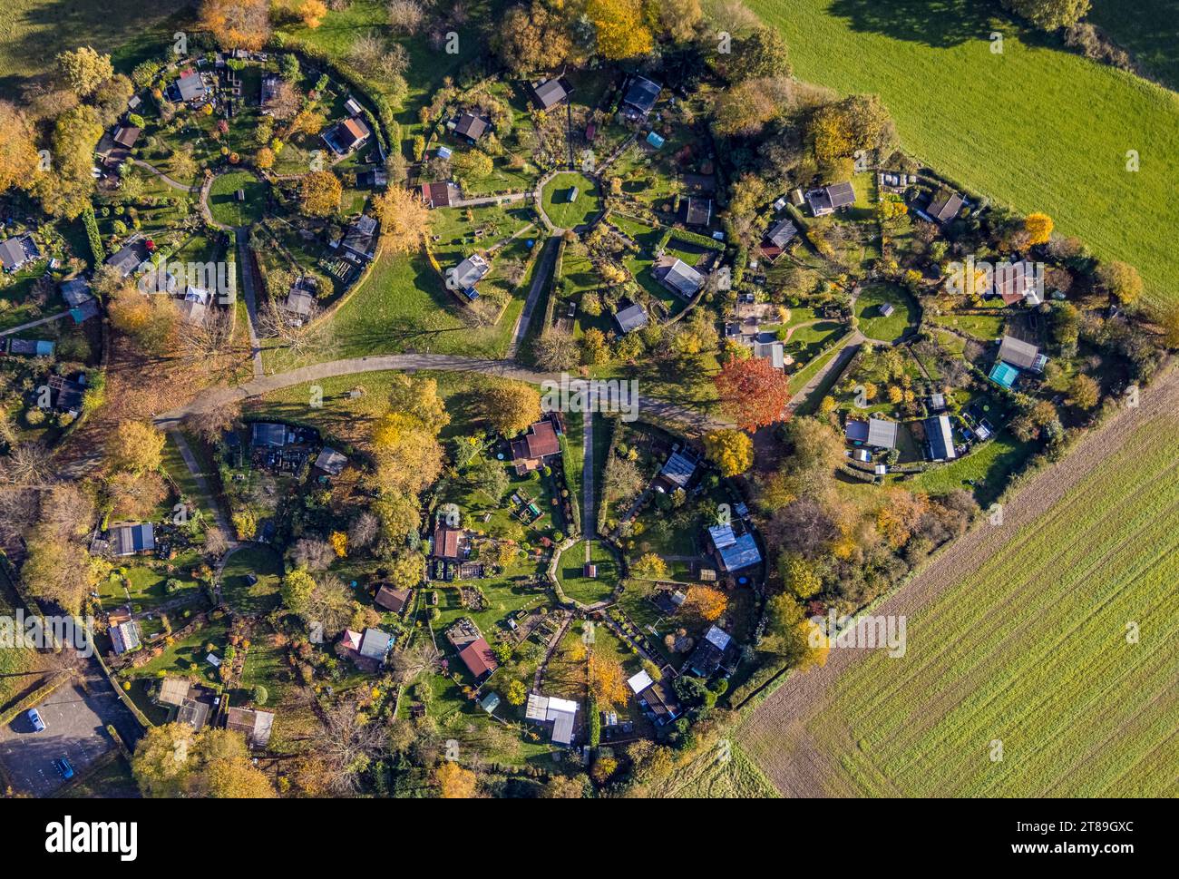 Aerial view, allotment garden association Am Heuweg e.V., arbours and ...