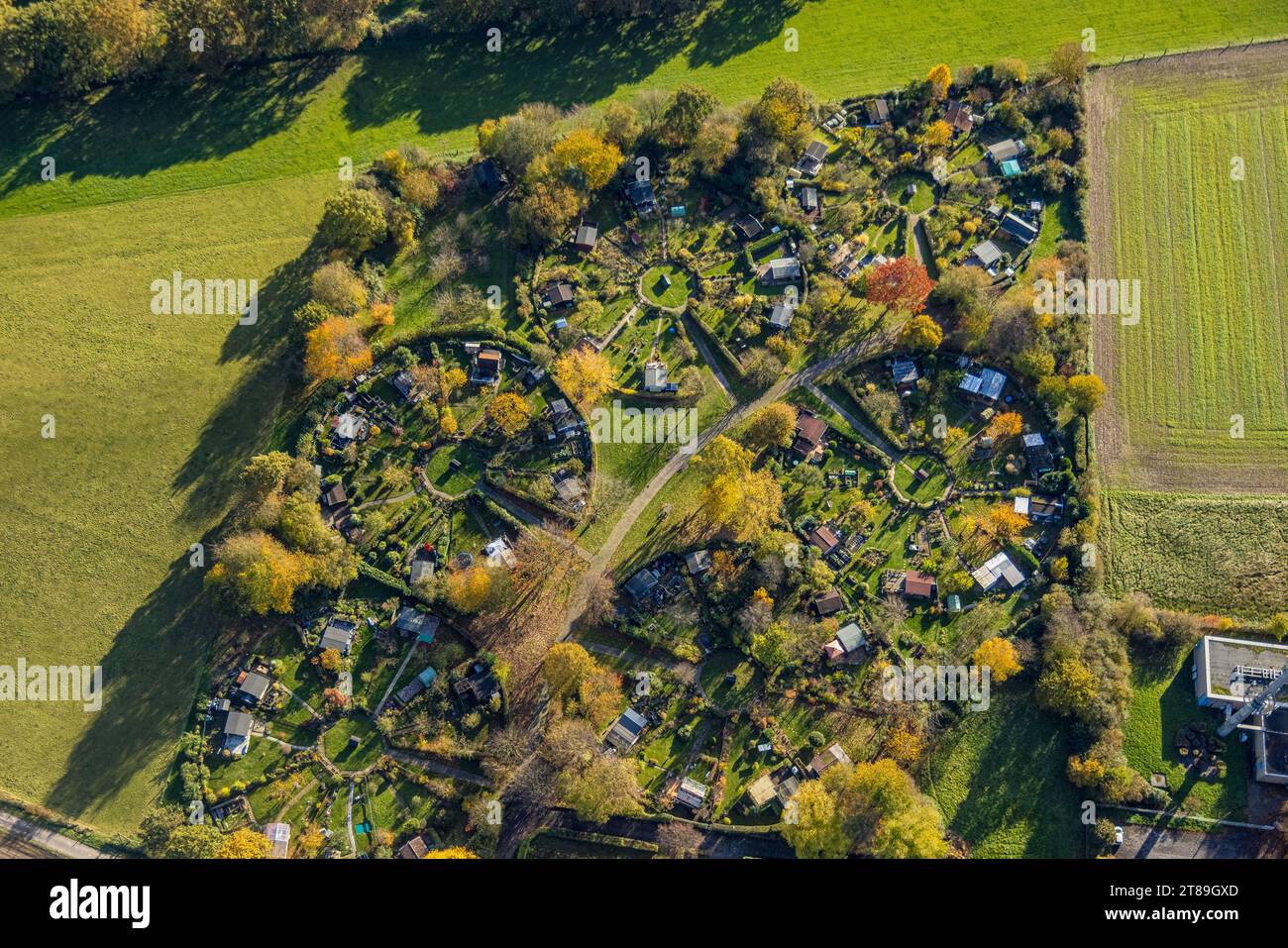 Aerial view, allotment garden association Am Heuweg e.V., arbours and ...