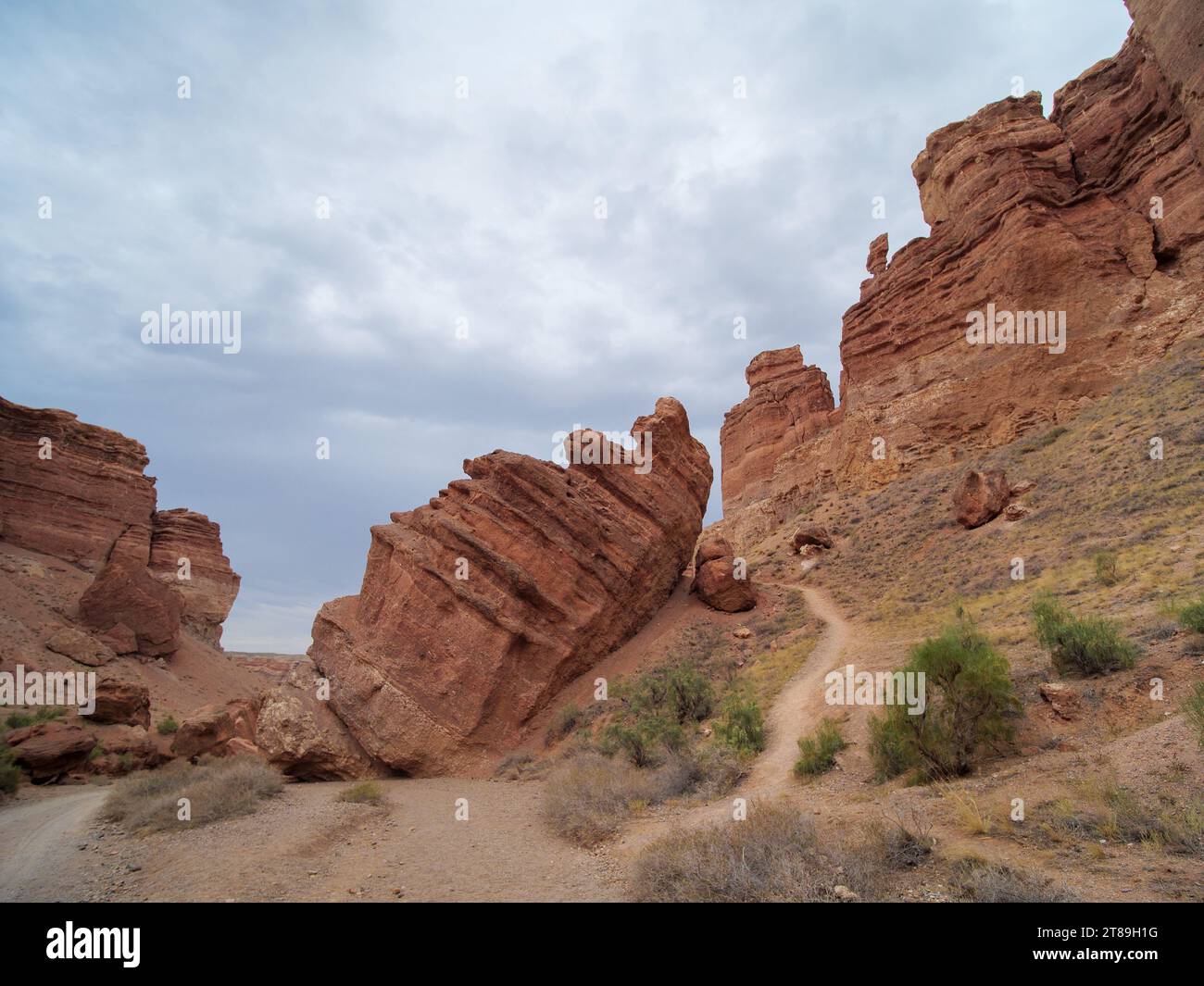 Charyn Canyon National Park. The road along the bottom of the Valley of ...