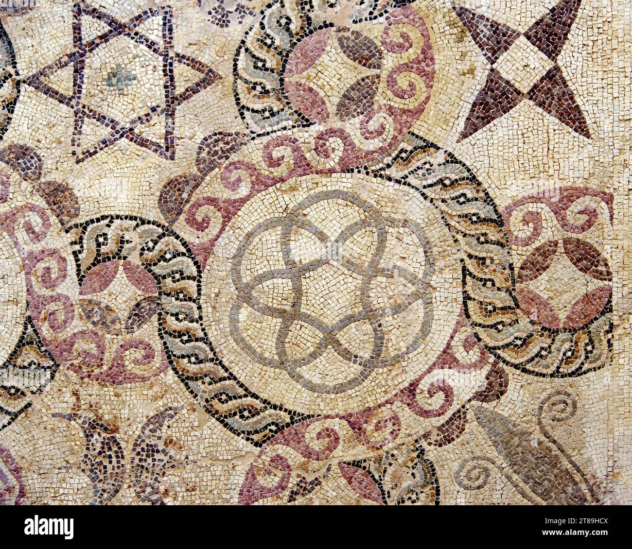Fancy antique mosaic on the floor of the house of Dionysus. Paphos ...
