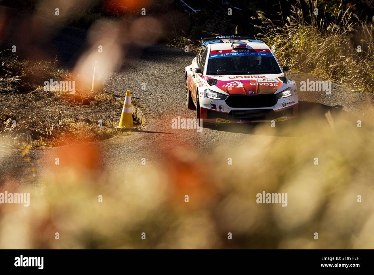 29 Miguel DIAZ ABOITIZ (ESP), Rodrigo SANJUAN (ESP), SKODA Fabia Evo, RC2, Rally2, action during ...
