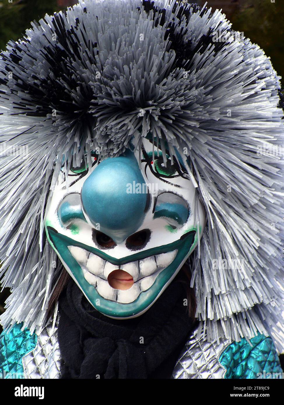 Switzerland, Basel, customs, carnival, city of Basel, Baselstadt ...