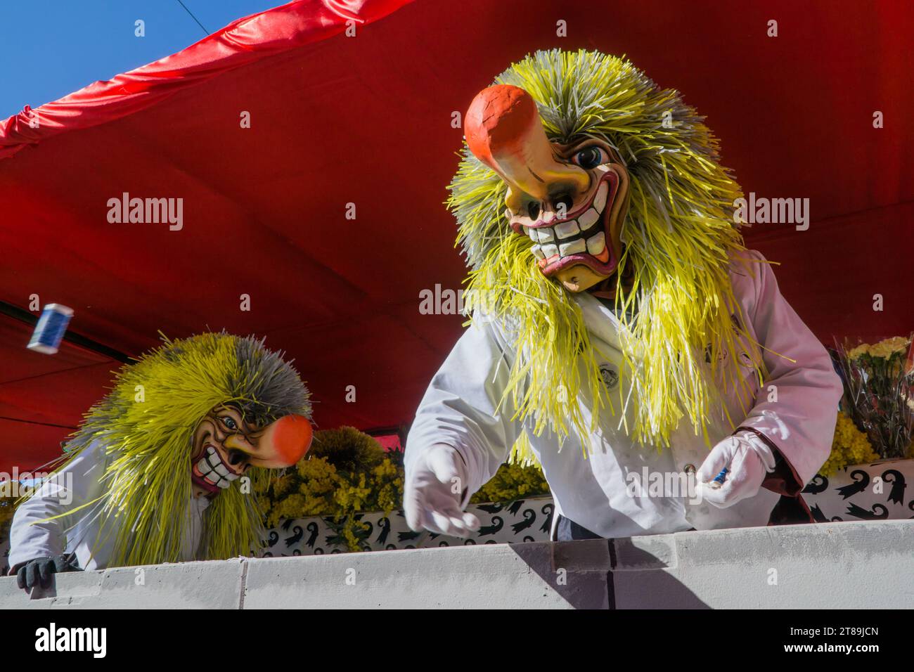 Switzerland, Basel, customs, carnival, city of Basel, Baselstadt ...