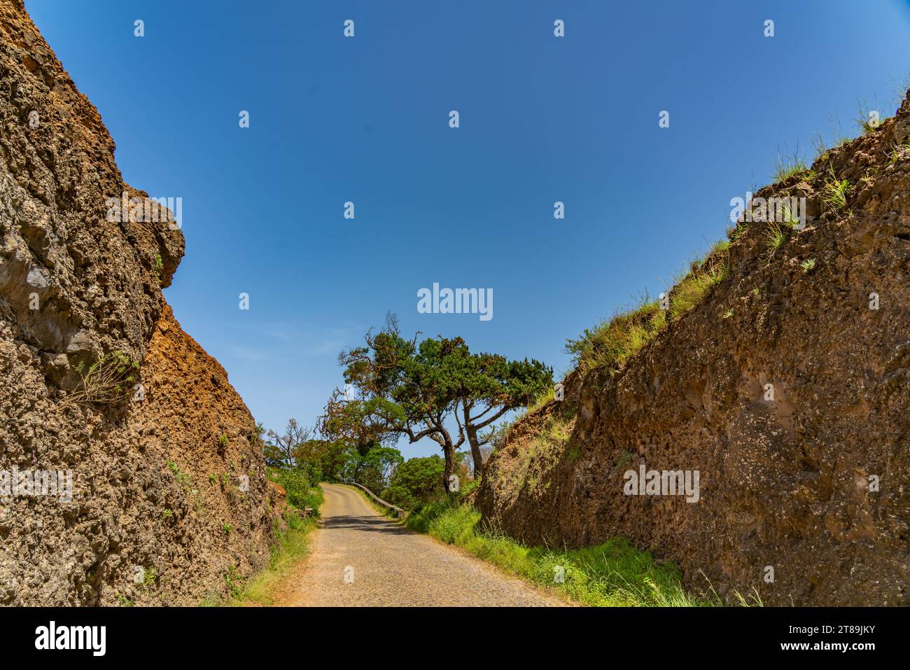 Road in the volcanic mountains with tree on Santo Antao Island, Cape ...