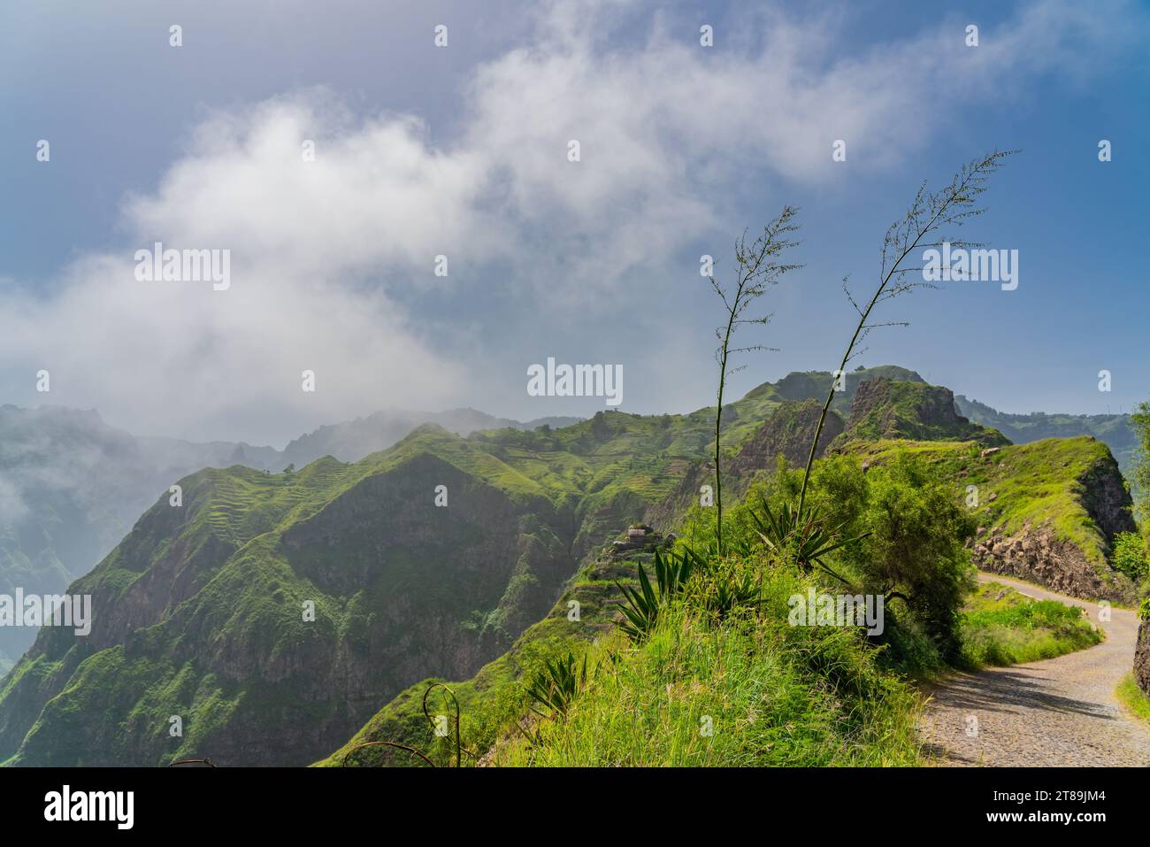 Famous panoramic road with volcanic mountains surrounding with green ...