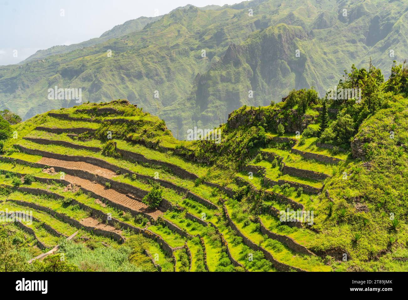 Green terrace fields on volcanic mountains surrounding with green grass ...