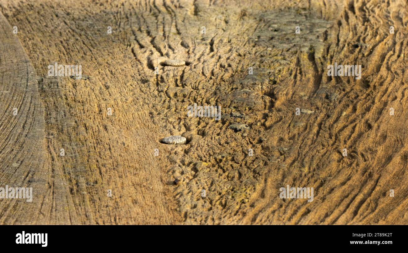 The face of this Jurassic Sandstone block has worn along lines to ...