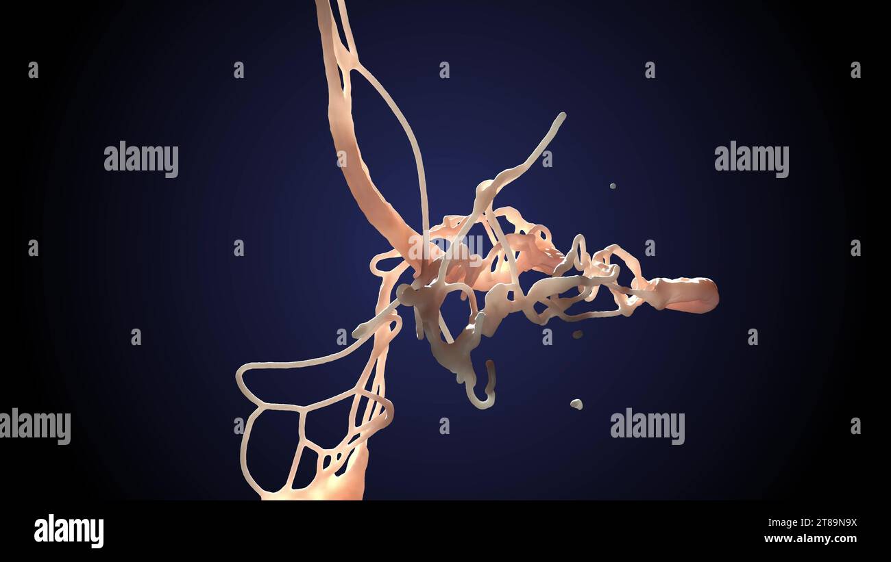 Subsurface scattering hi-res stock photography and images - Alamy