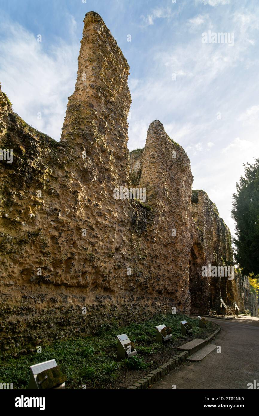Abbey ruins, Reading, Berkshire, England, UK Stock Photo - Alamy