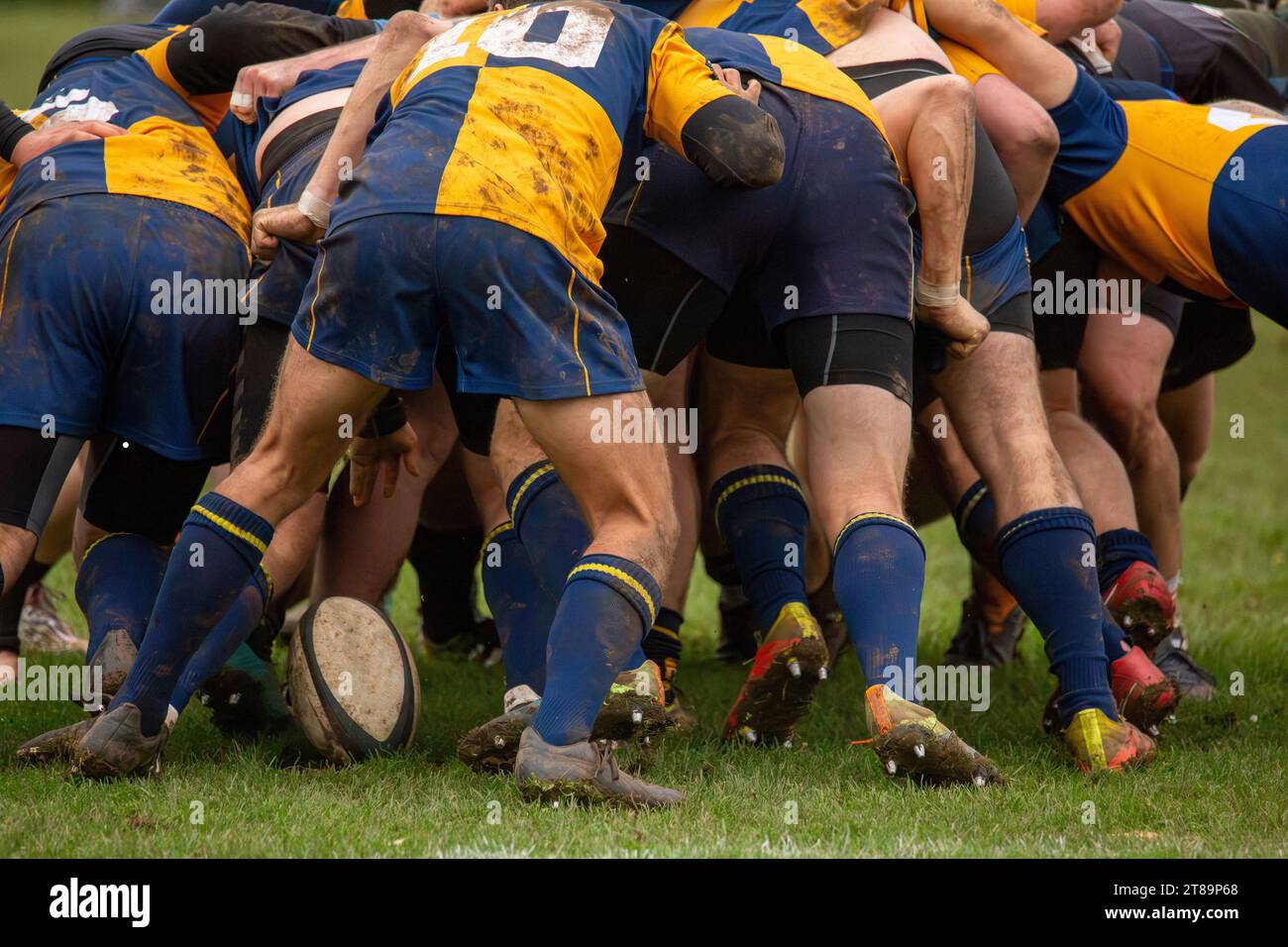 Rugby symbol: Game scene from a Rugby Match Stock Photo - Alamy