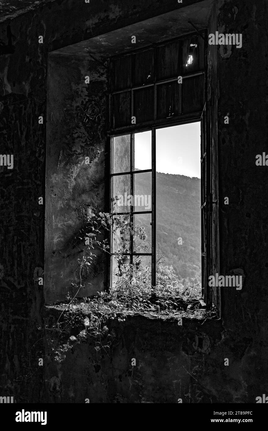View from the broken window of the abandoned hotel Berengaria (Cyprus ...
