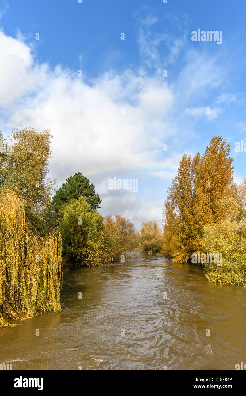 Rainbow over a flooded river. Autumn landscape. Bas-Rhin, Collectivite ...