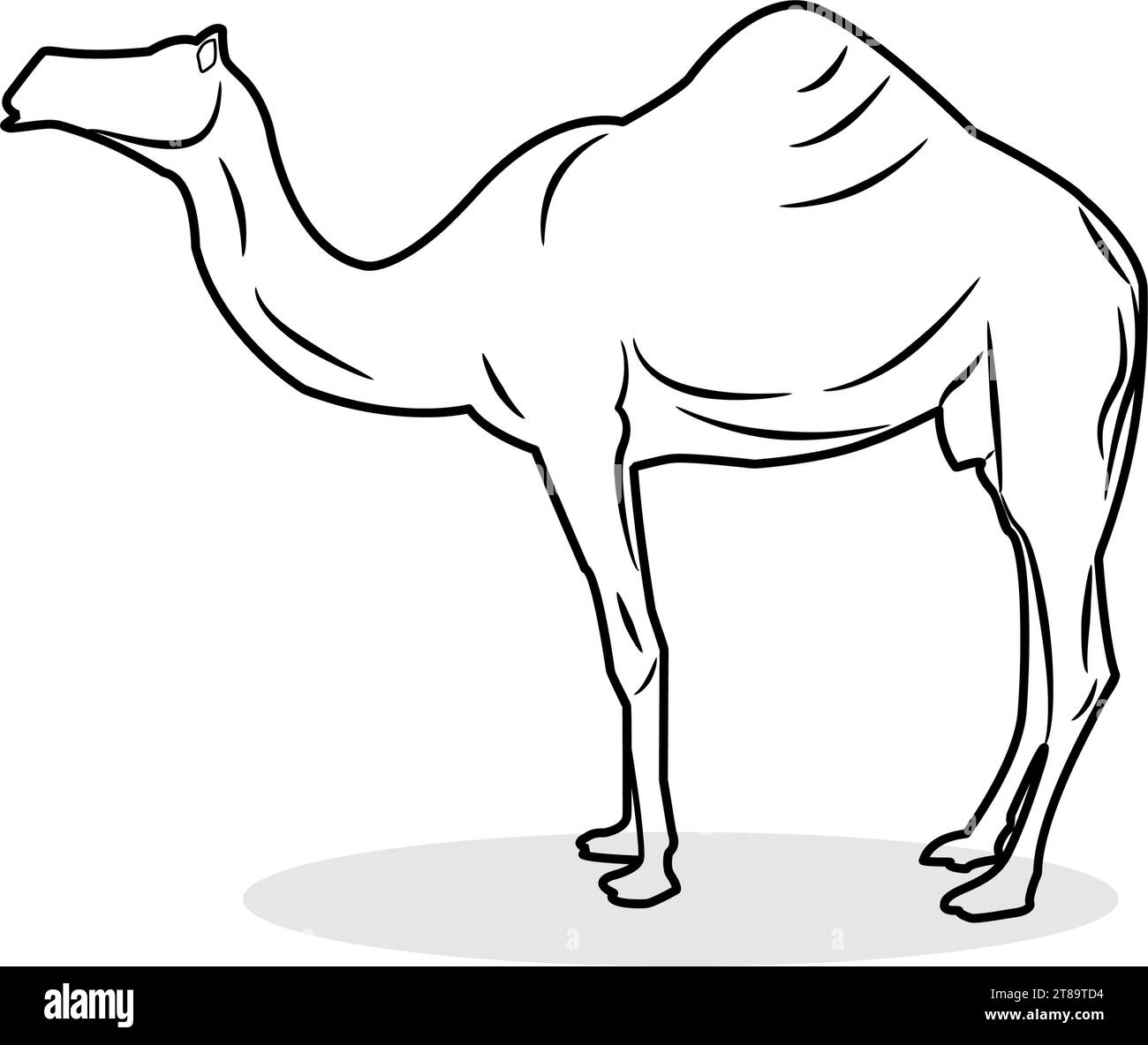 Camel vector illustration simple line art design Stock Vector Image ...