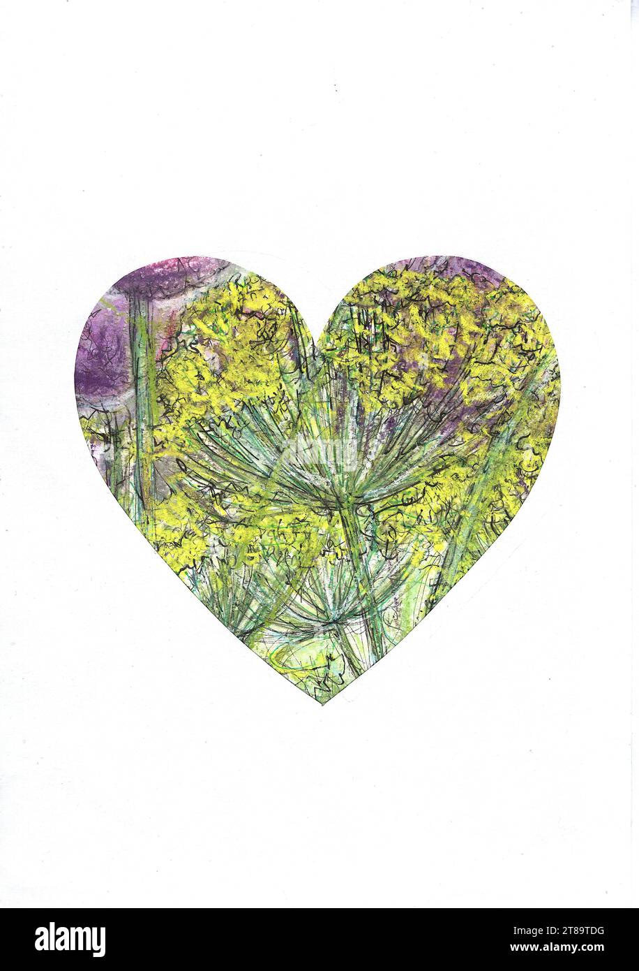 A colour illustration of dill in the shape of a heart on a white ...