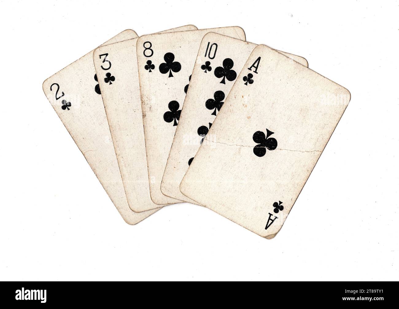 A poker hand of vintage playing cards showing a flush of clubs on a ...