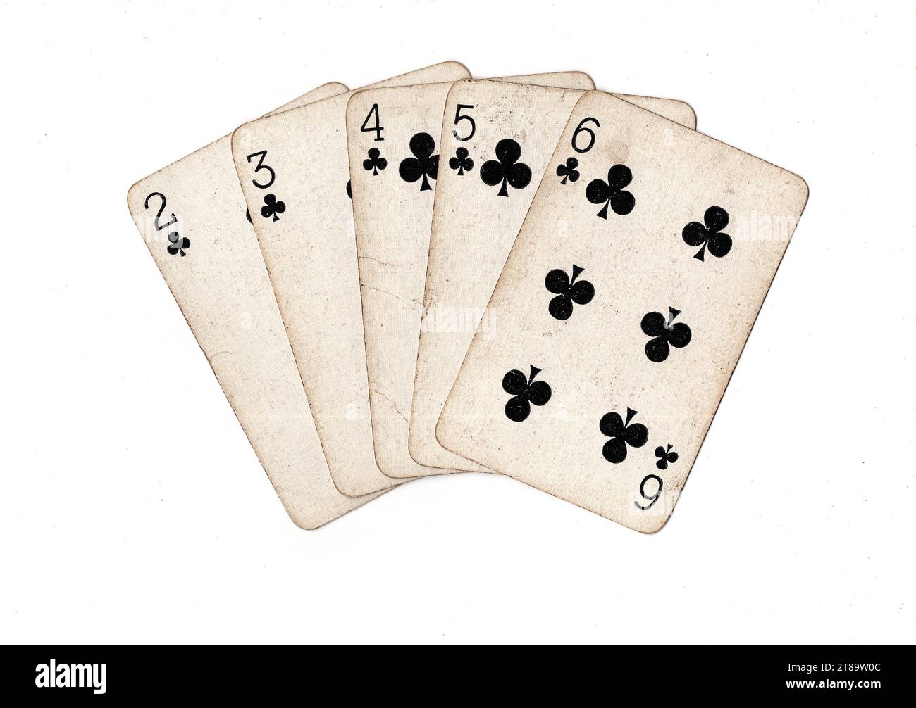A poker hand of vintage playing cards showing a straight flush of clubs ...