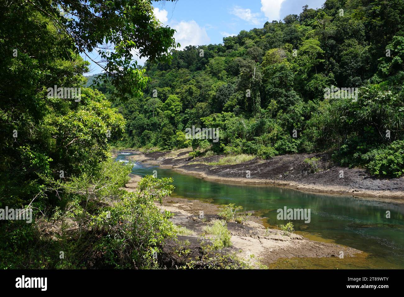 Green water of tully river in tully gorge surrounded by lush green ...