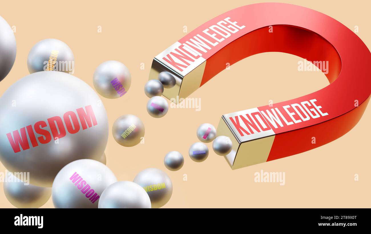 Knowledge which brings Wisdom. A magnet metaphor in which knowledge ...
