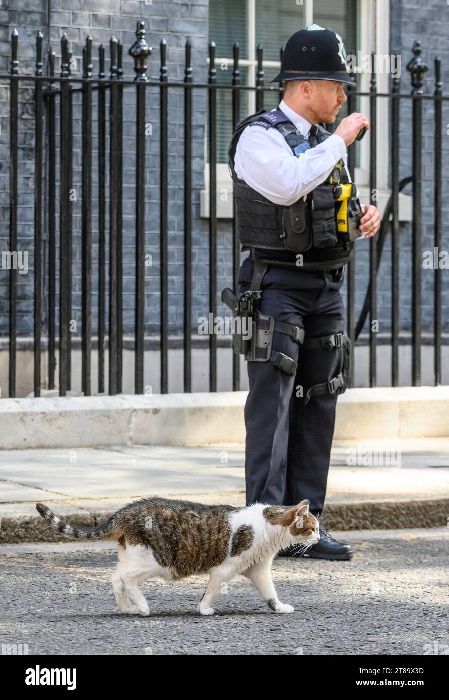 Larry the Cat - Chief Mouser to the Cabinet Office since 2011 - in ...