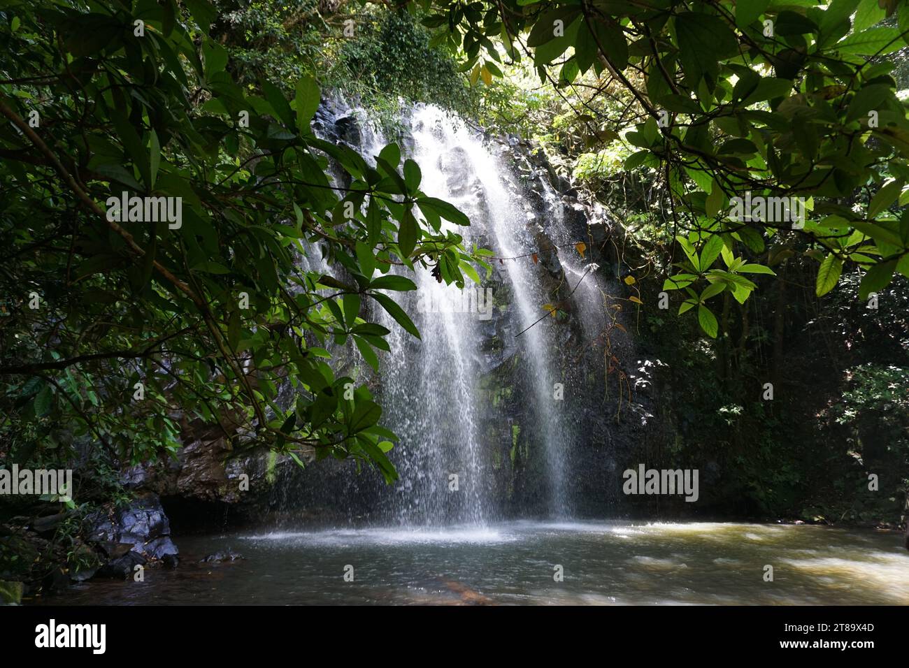 Ellinjaa waterfall framed by tree leaves on the waterfall circuit in ...