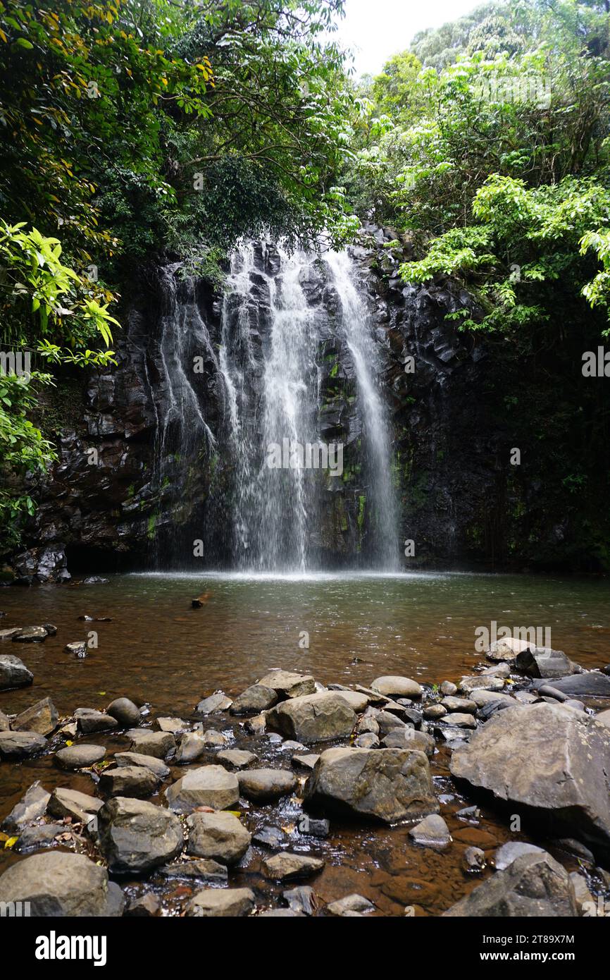 Ellinjaa waterfall on the waterfall circuit in Atherton Tablelands ...