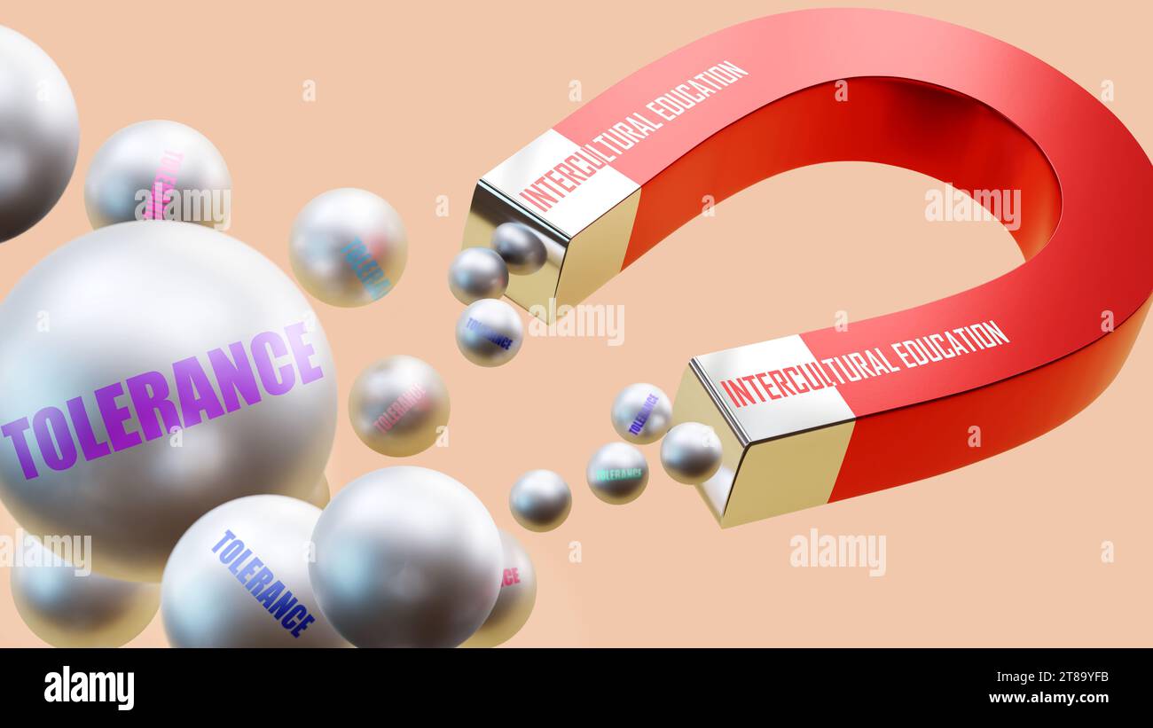 Intercultural education which brings Tolerance. A magnet metaphor in ...