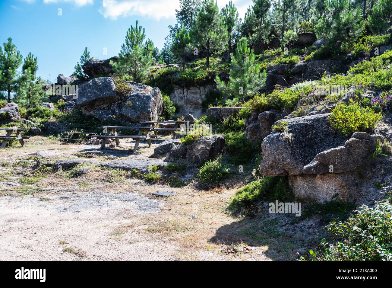 Trilho da silha dos ursos hi-res stock photography and images - Alamy