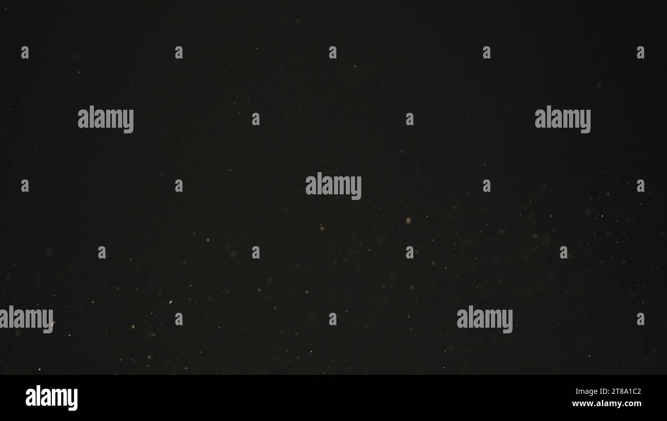 Dust particles float in sunlight on black background, wide photo Stock ...