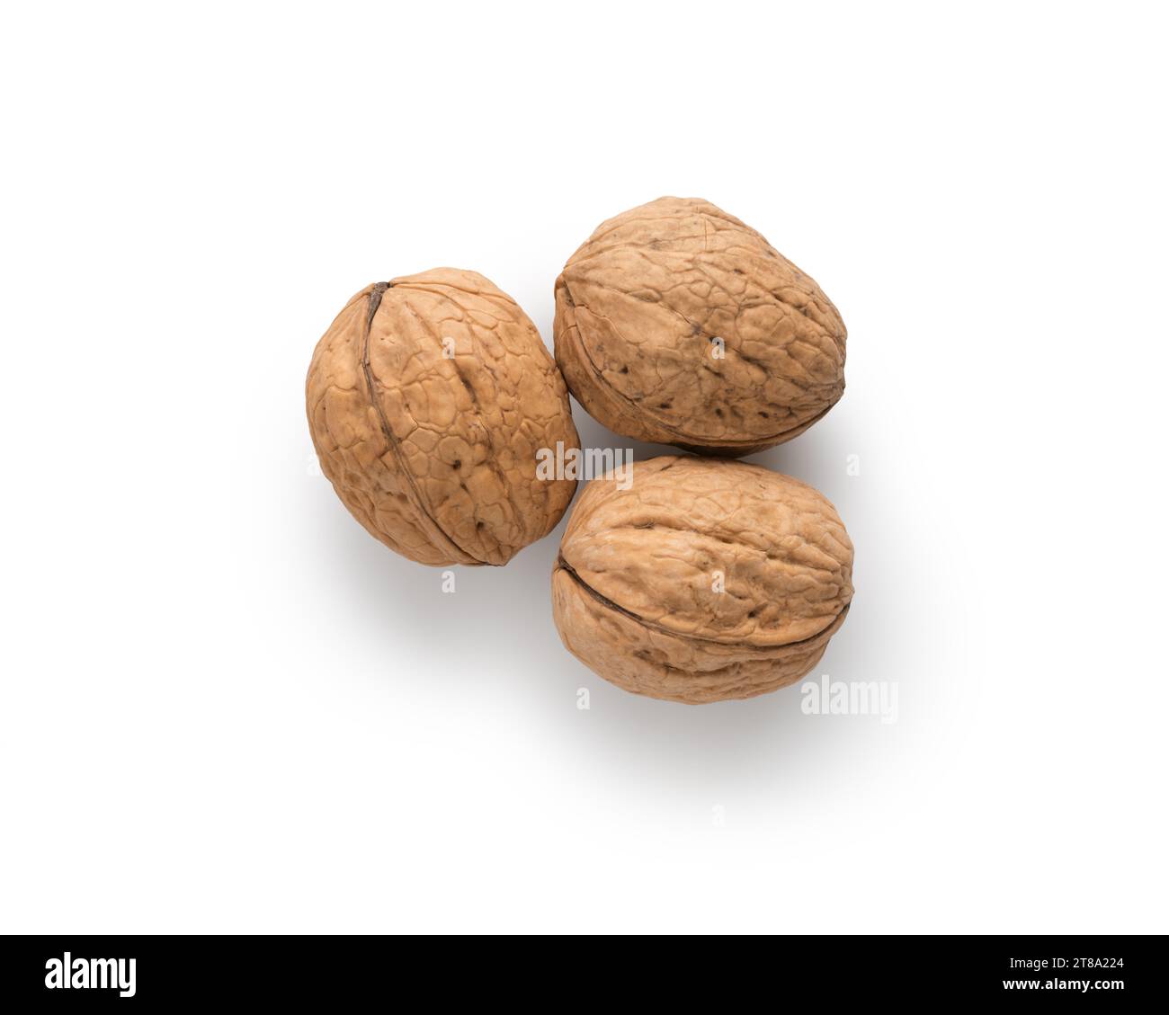 Three walnuts top view on white background, from above Stock Photo - Alamy