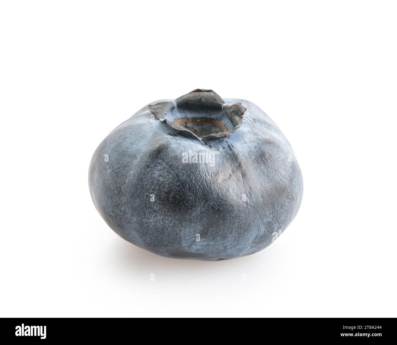 Big blueberry isolated on white background, side view Stock Photo - Alamy