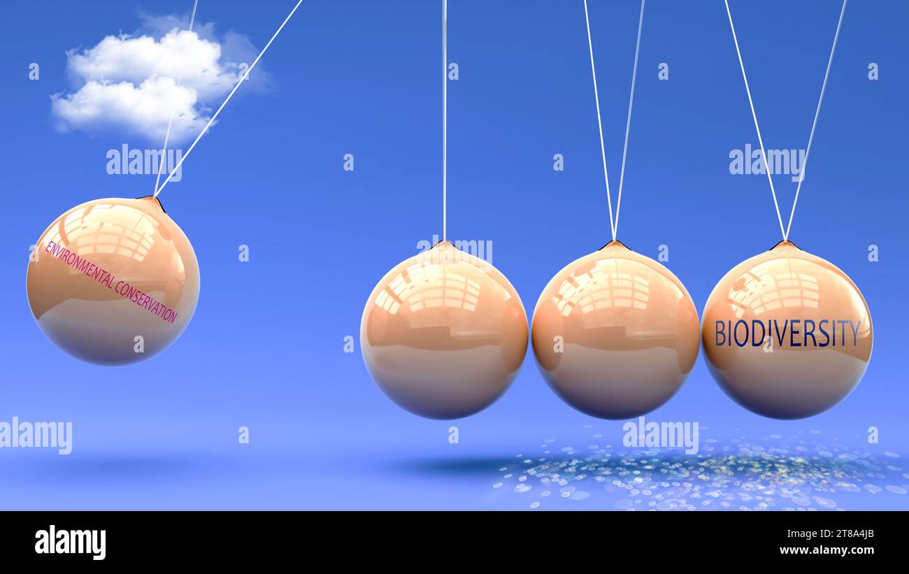 Environmental conservation leads to Biodiversity. Cause and effect ...