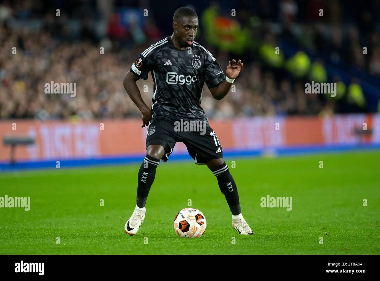 Forbs hi-res stock photography and images - Alamy