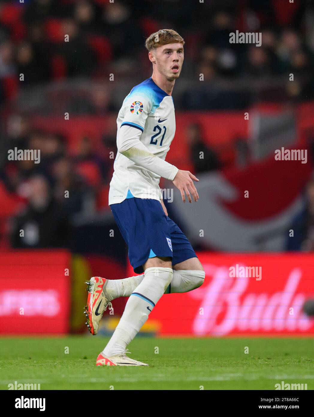 Cole palmer england euro 2024 hi-res stock photography and images - Alamy
