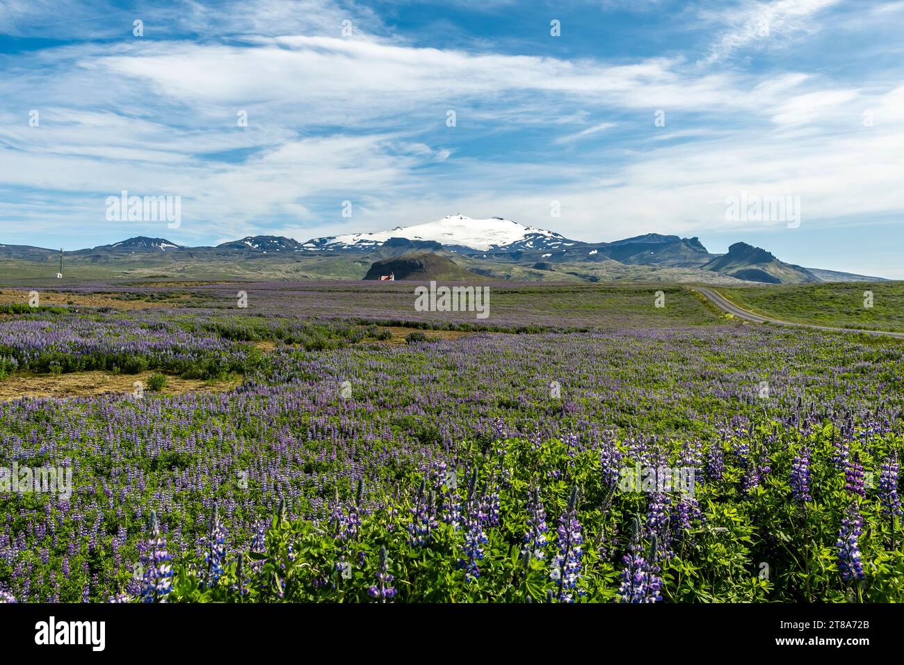 The Historic Ingjaldshóll on the Snaefellsnes Peninsula in West-Iceland ...