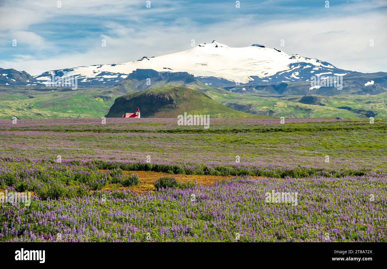 The Historic Ingjaldshóll on the Snaefellsnes Peninsula in West-Iceland ...