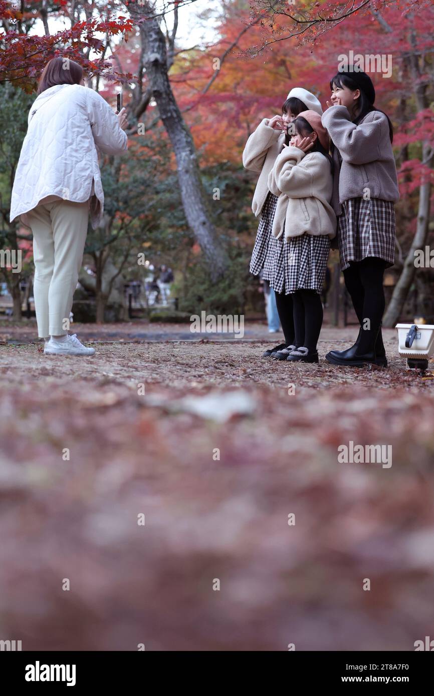 People enjoy brightly colored autumn leaves at Sogi Park in Toki City ...
