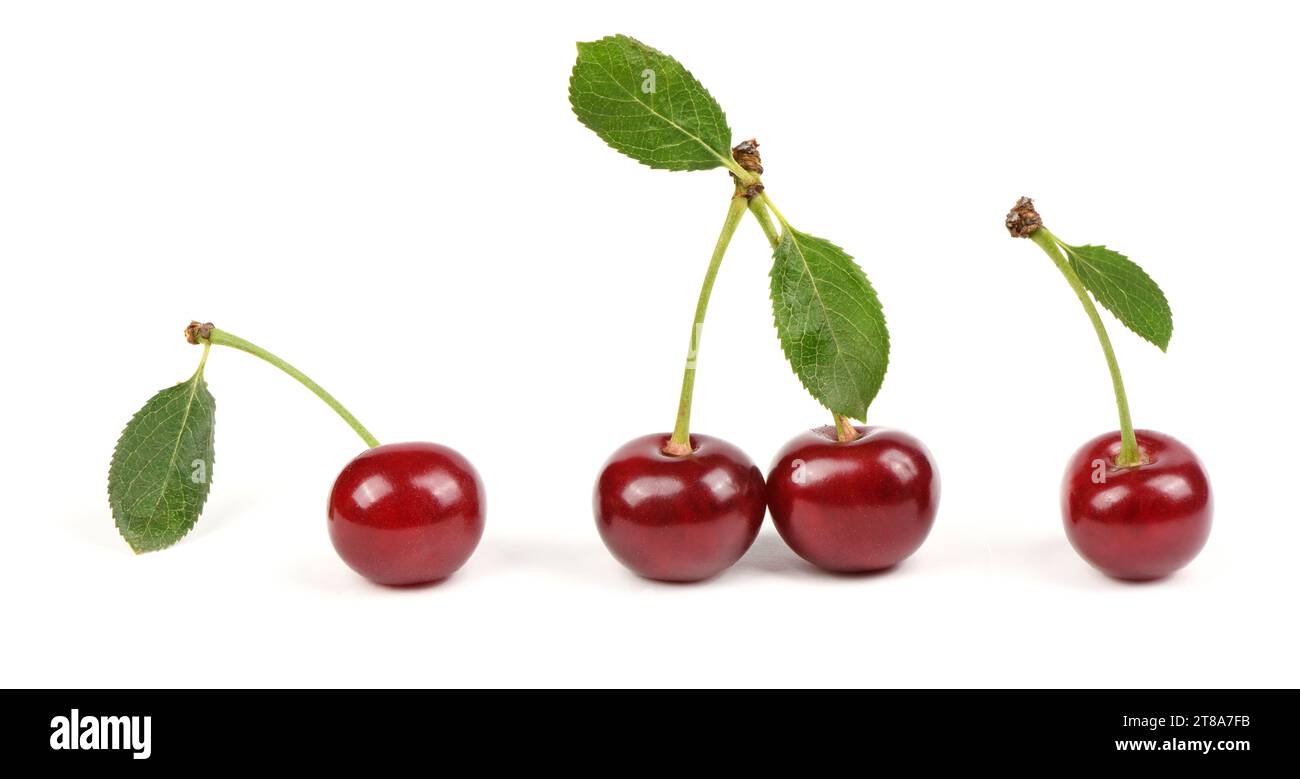 Collection of cherries with green leaf isolated on white background ...