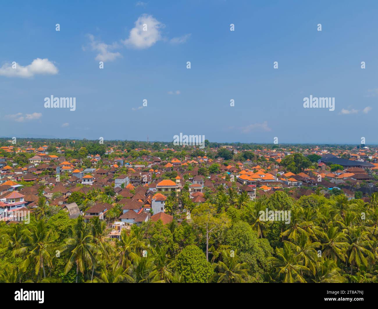 Aerial drone view of the Ubud historical city center with temples and ...